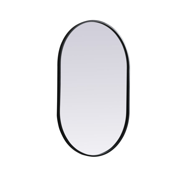 RE/FINE™ Sabine Metal Pill Wall Mirror & Reviews | Wayfair