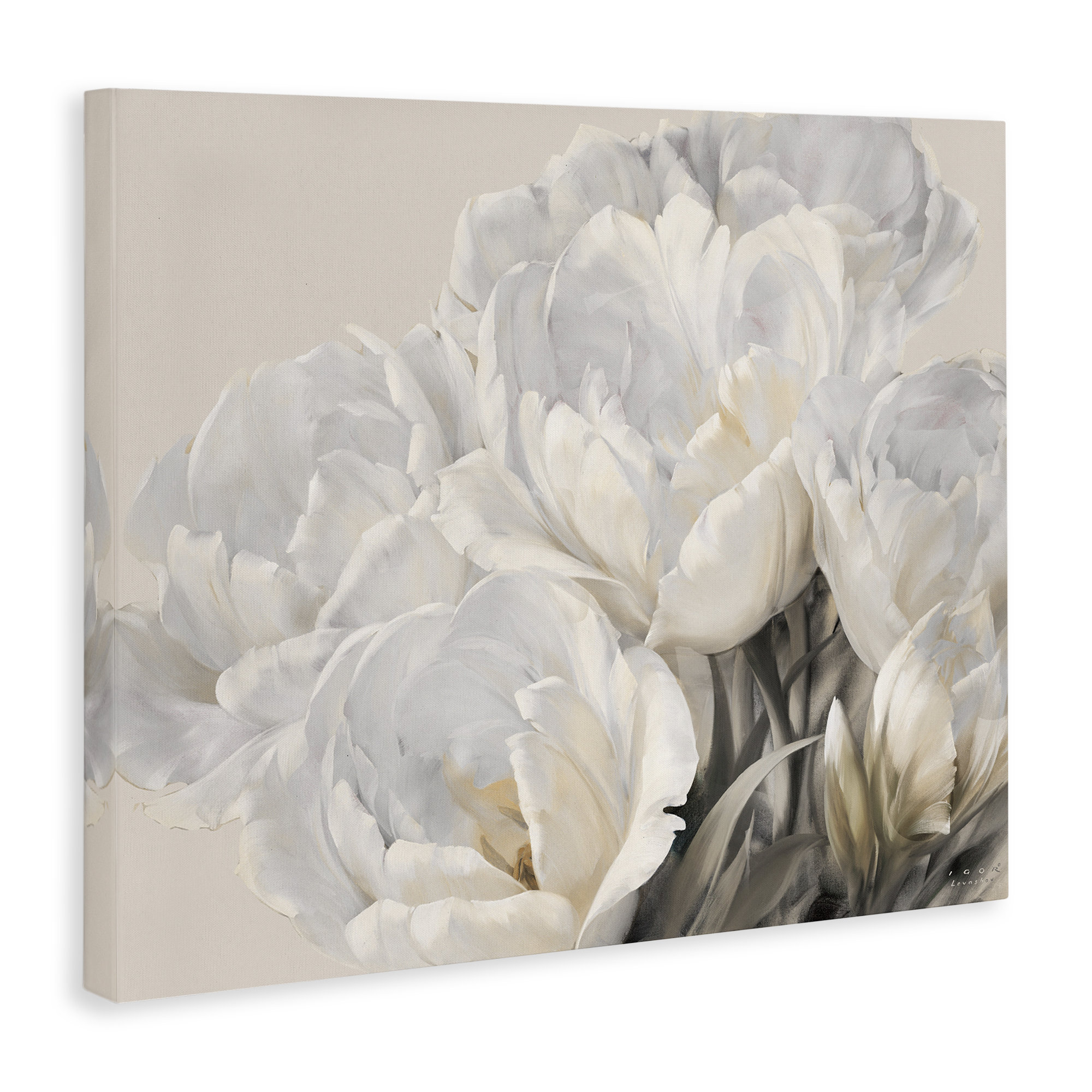 Ophelia & Co. Roses Sprouting Canvas Wall Art, design by Igor Levashov ...