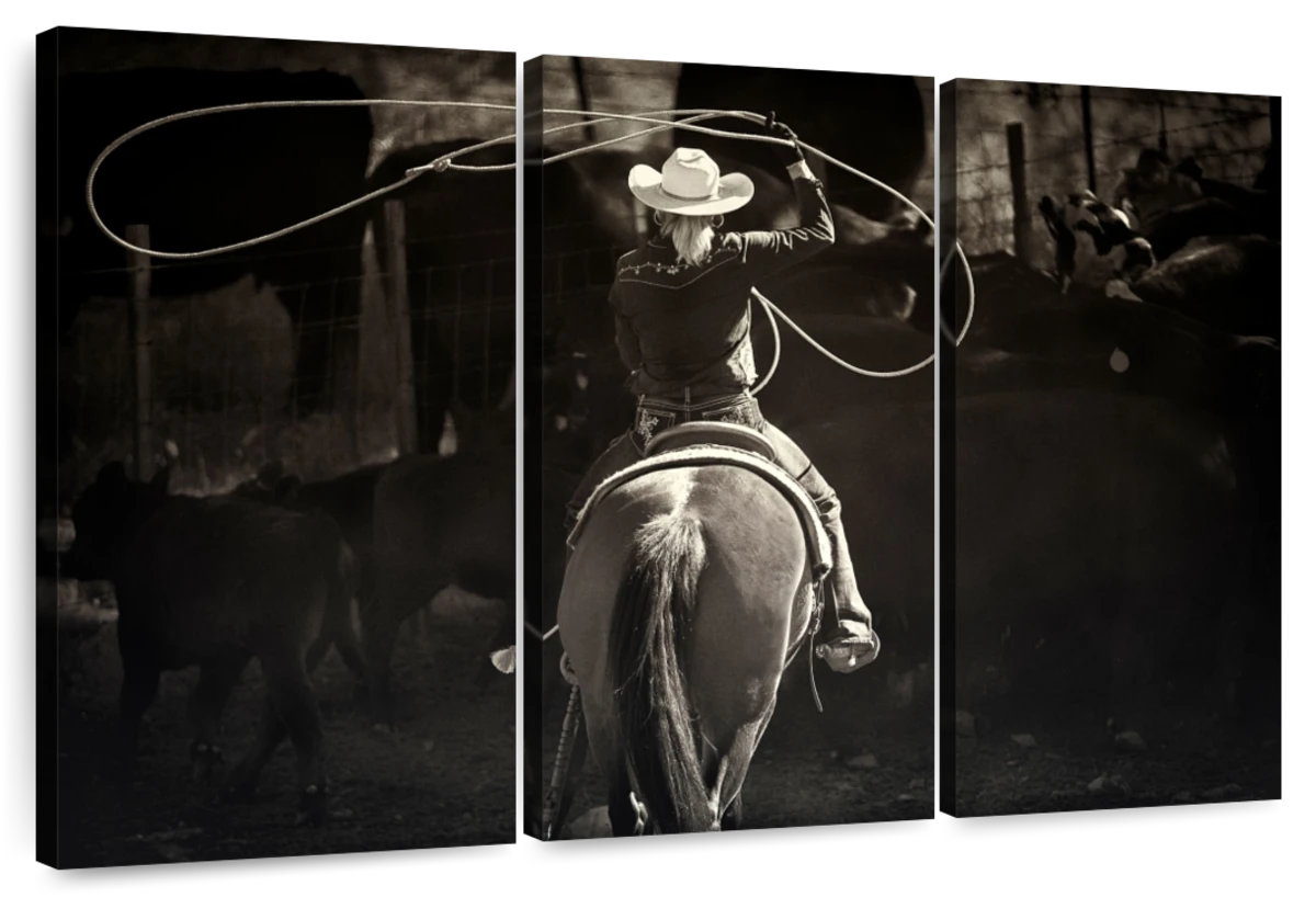 Elephant Stock American Cowgirl Lasso | Wayfair