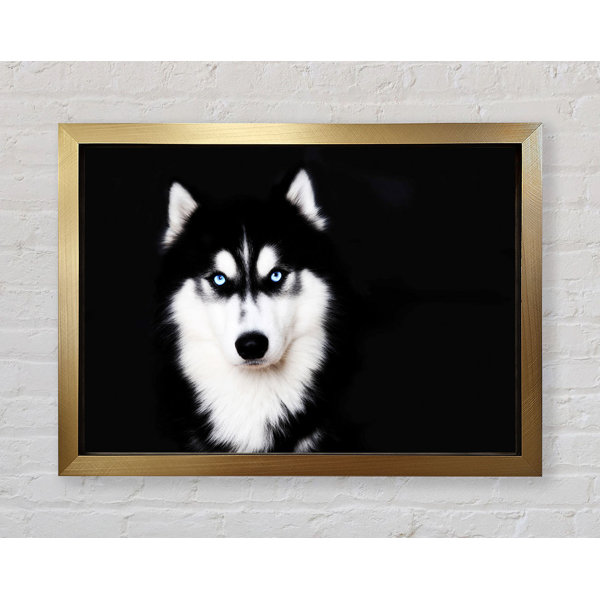 Bright Star Husky Dog Love - Single Picture Frame Print | Wayfair.co.uk
