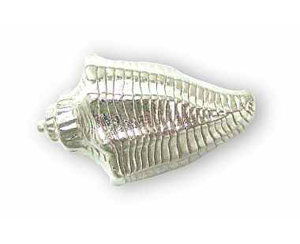 D. Lawless Hardware (5 Pack) 1-5/8 inch Conch Shell Knob Satin Nickel ...