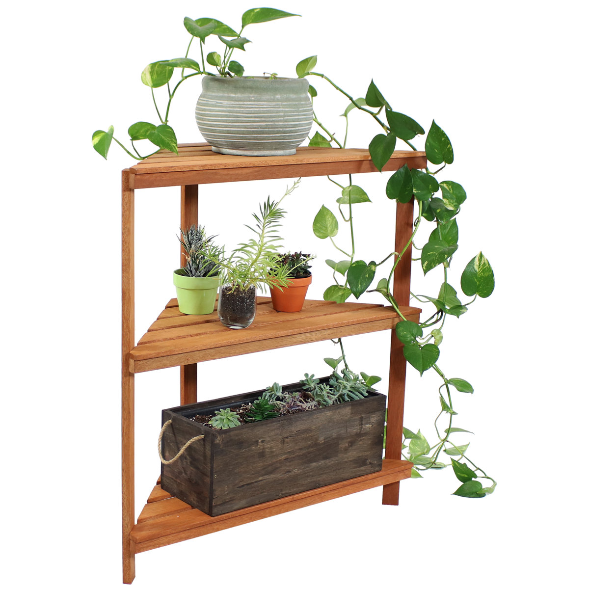Red Barrel Studio® Turrella Triangular Plant Stand & Reviews | Wayfair