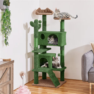 Archie & Oscar™ Cleobury 53'' Height Cat Cactus Tree Condo Kitten Tree ...