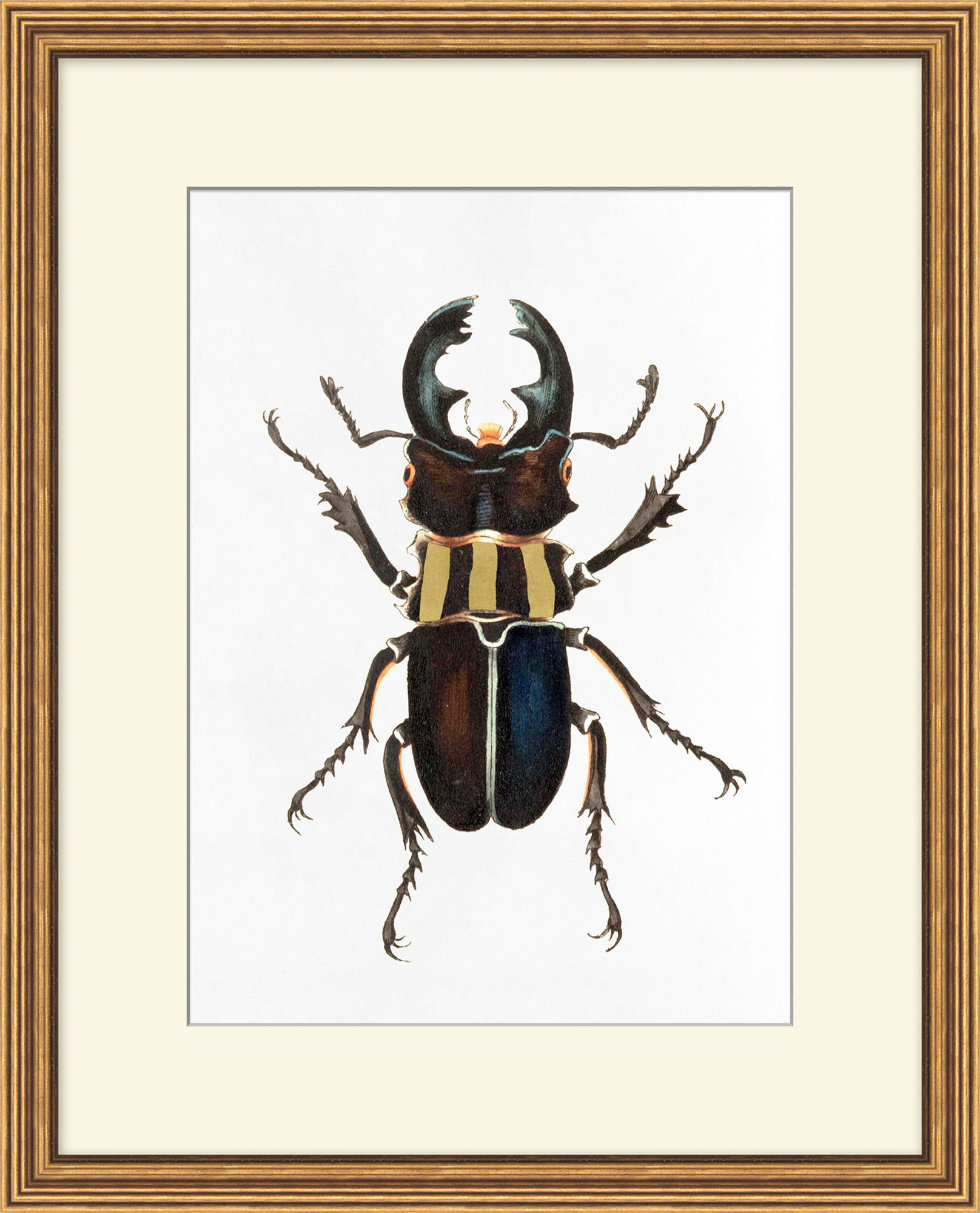 Wendover Art Group Gilded Beetle 4 | Wayfair