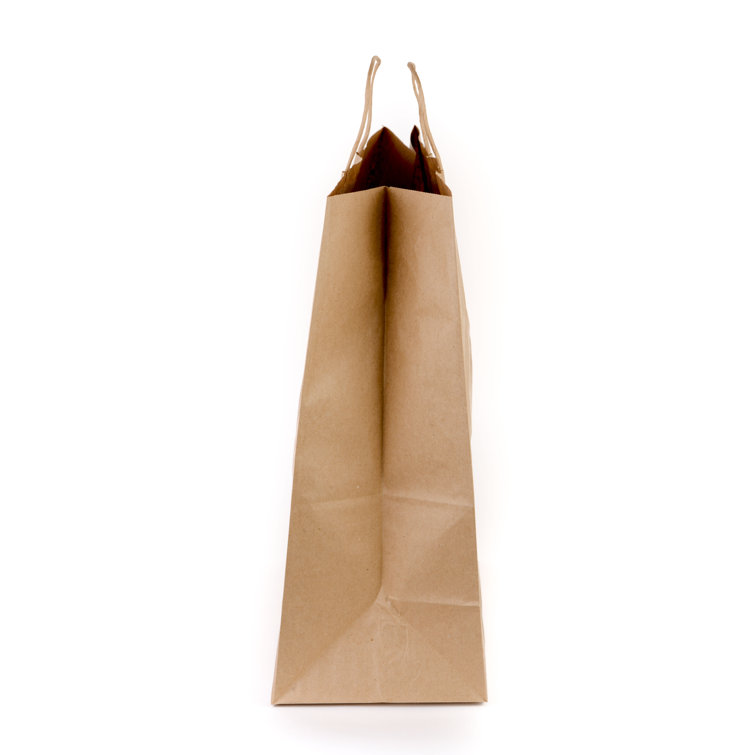 Ecoquality Shopping Paper Bags with Twine Handles & Reviews - Wayfair ...