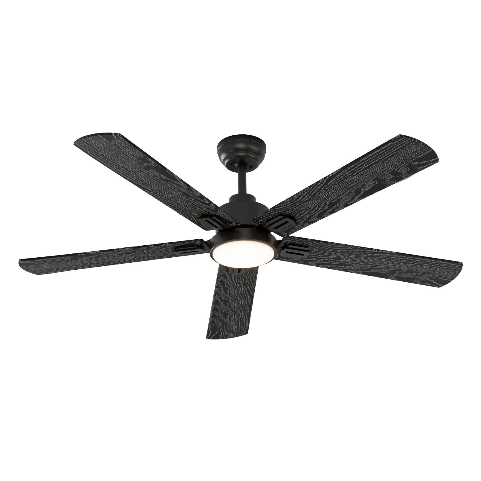 Ebern Designs 62"（5-Blade）Ceiling Fans with LED Lights and Remote ...