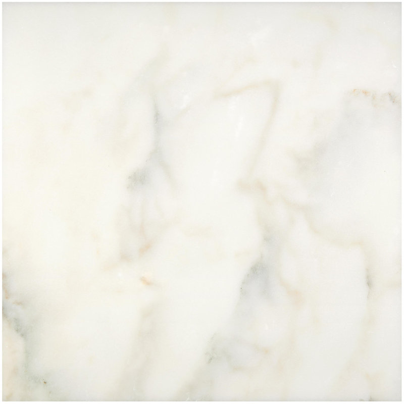 Stone & Tile Shoppe, Inc. 6" x 12" Marble Marble Look Wall & Floor Tile ...