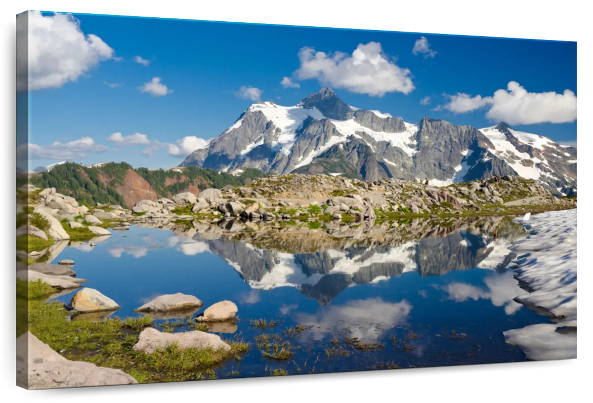 Millwood Pines Alvord Mt. Baker Lake Reflections | Wayfair