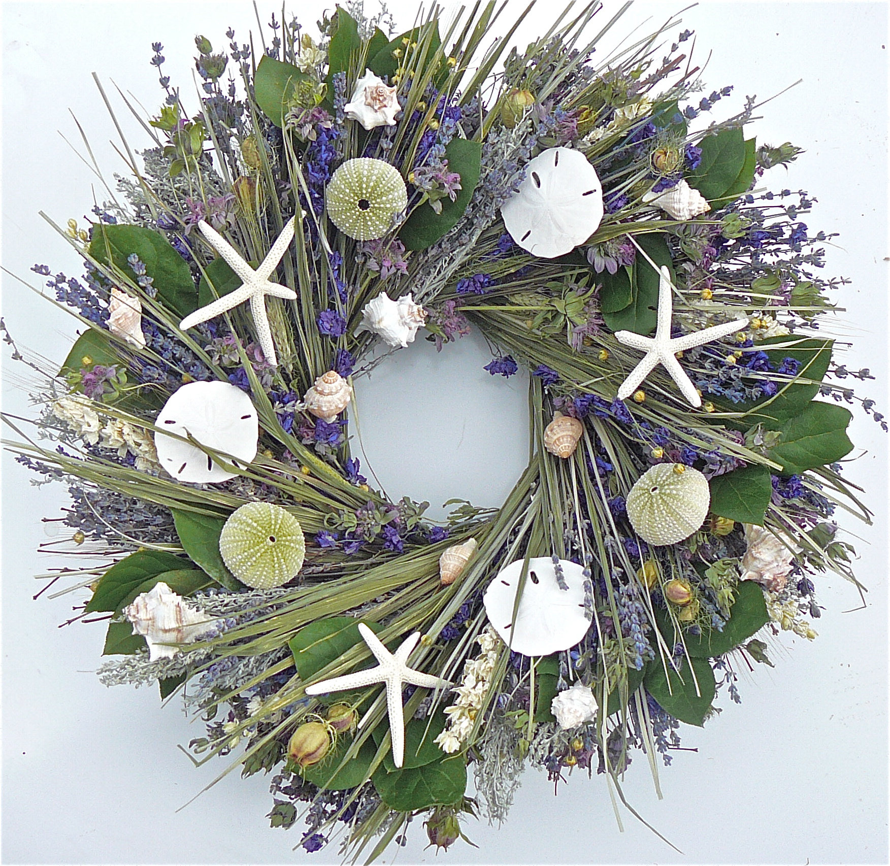 Highland Dunes Dried Beachy Avalon Bay 22" Greenery Wreath & Reviews ...