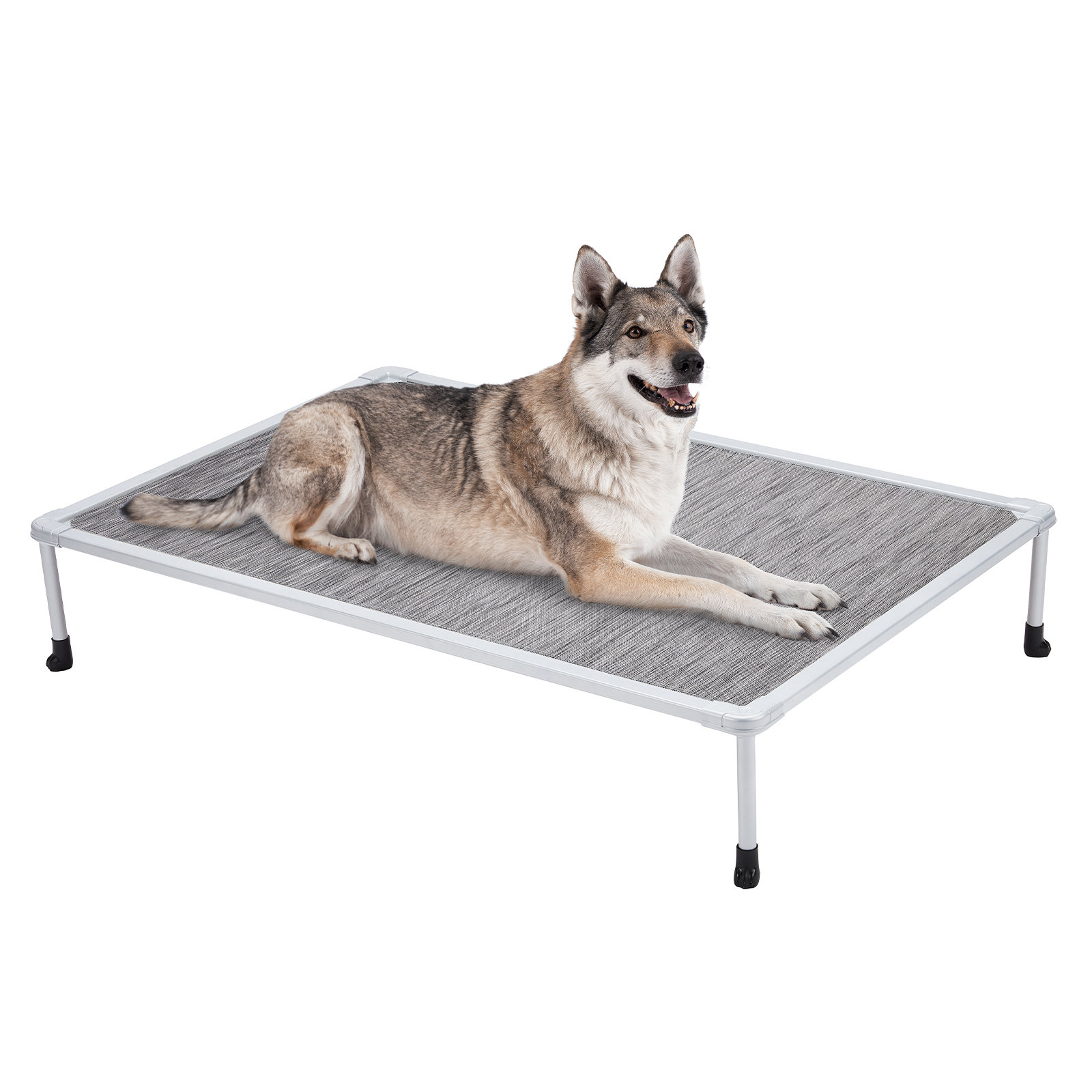 Tucker Murphy Pet™ Tucker Murphy Elevated Bed Chewproof Cooling Raised ...