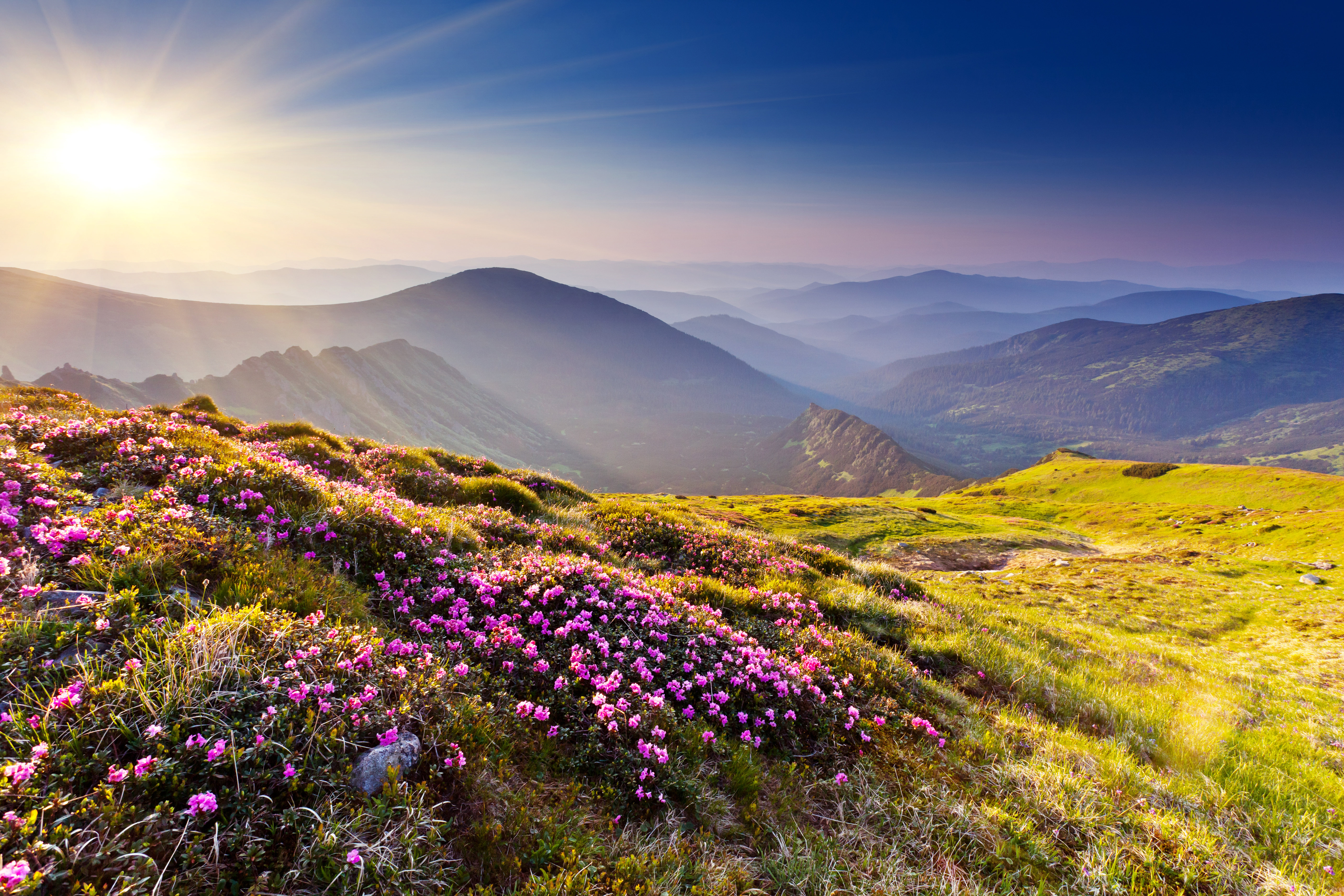 Millwood Pines Anathea Mountain Landscape On Canvas Photograph | Wayfair