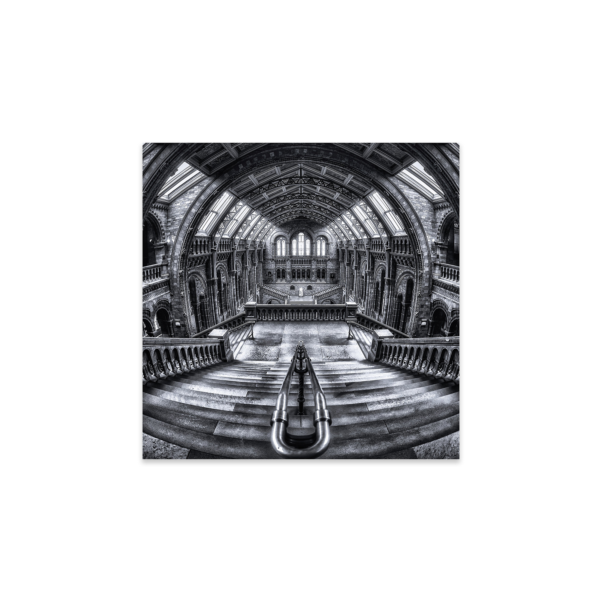 Red Barrel Studio® Harry Potter Meets Escher And Darwin | Wayfair