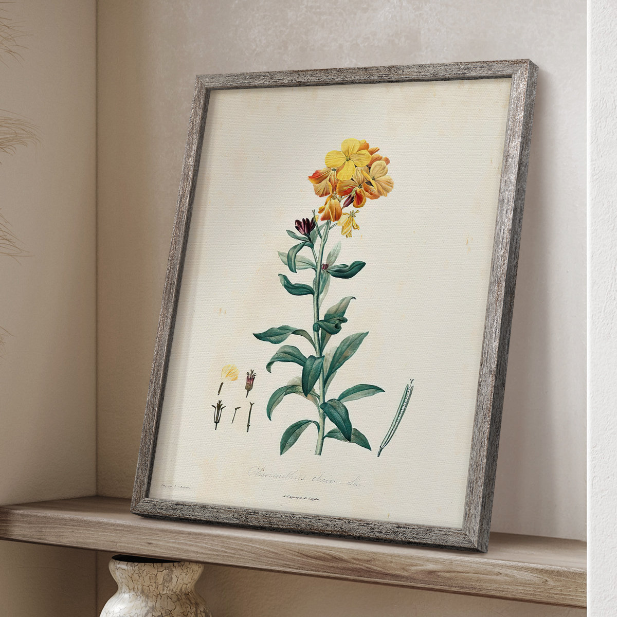 Winston Porter Traditional Botanical III Framed Print - Solid Wood ...