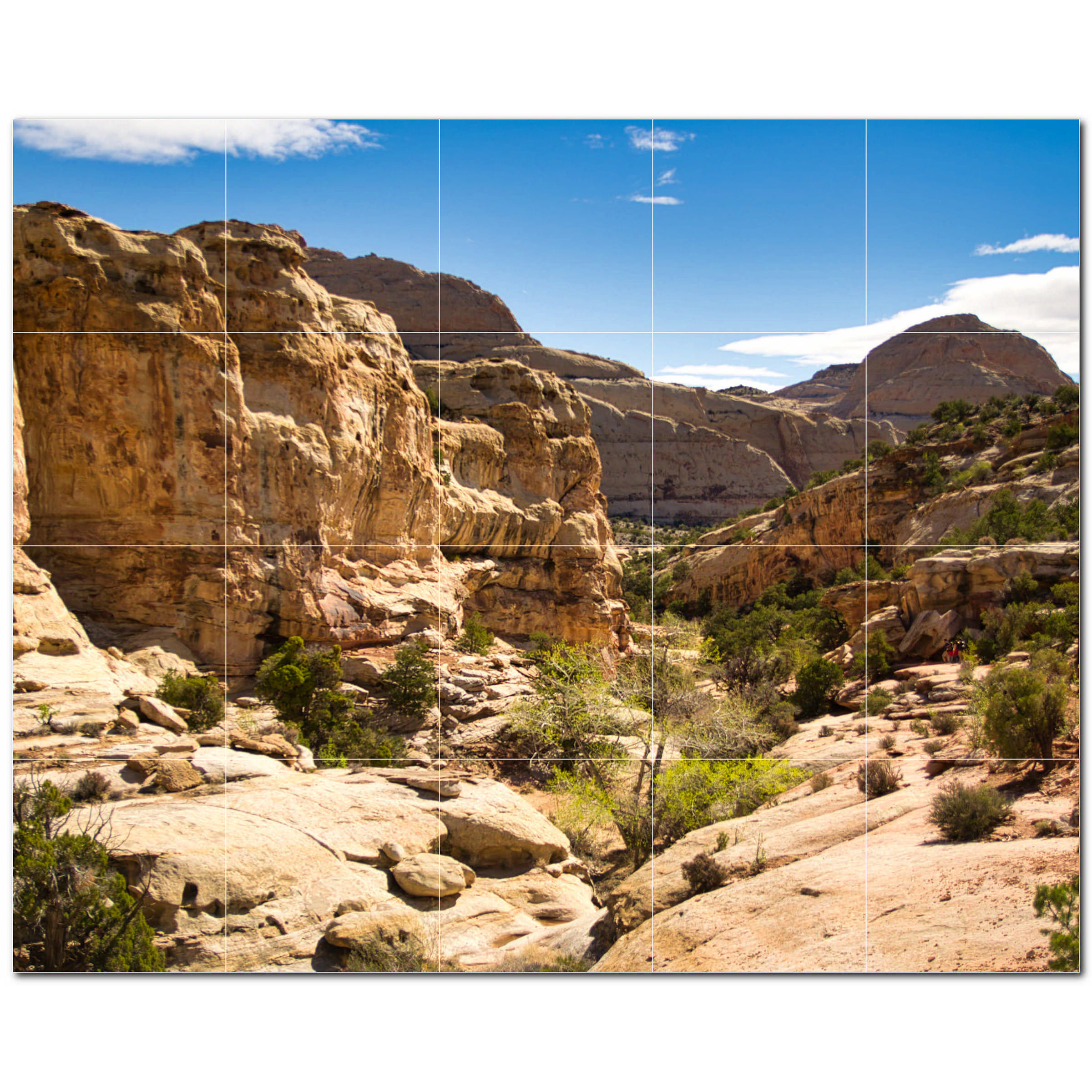 Picture-Tiles.com Canyon Photo 12'' x 12'' Satin Ceramic Decorative ...