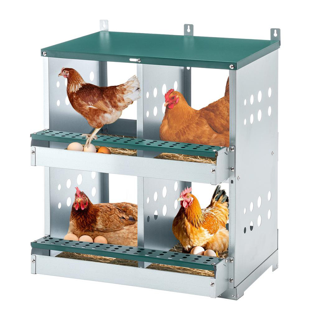 Archie & Oscar™ 4 Compartment Chicken Nesting Boxes, Metal Wall Mount ...