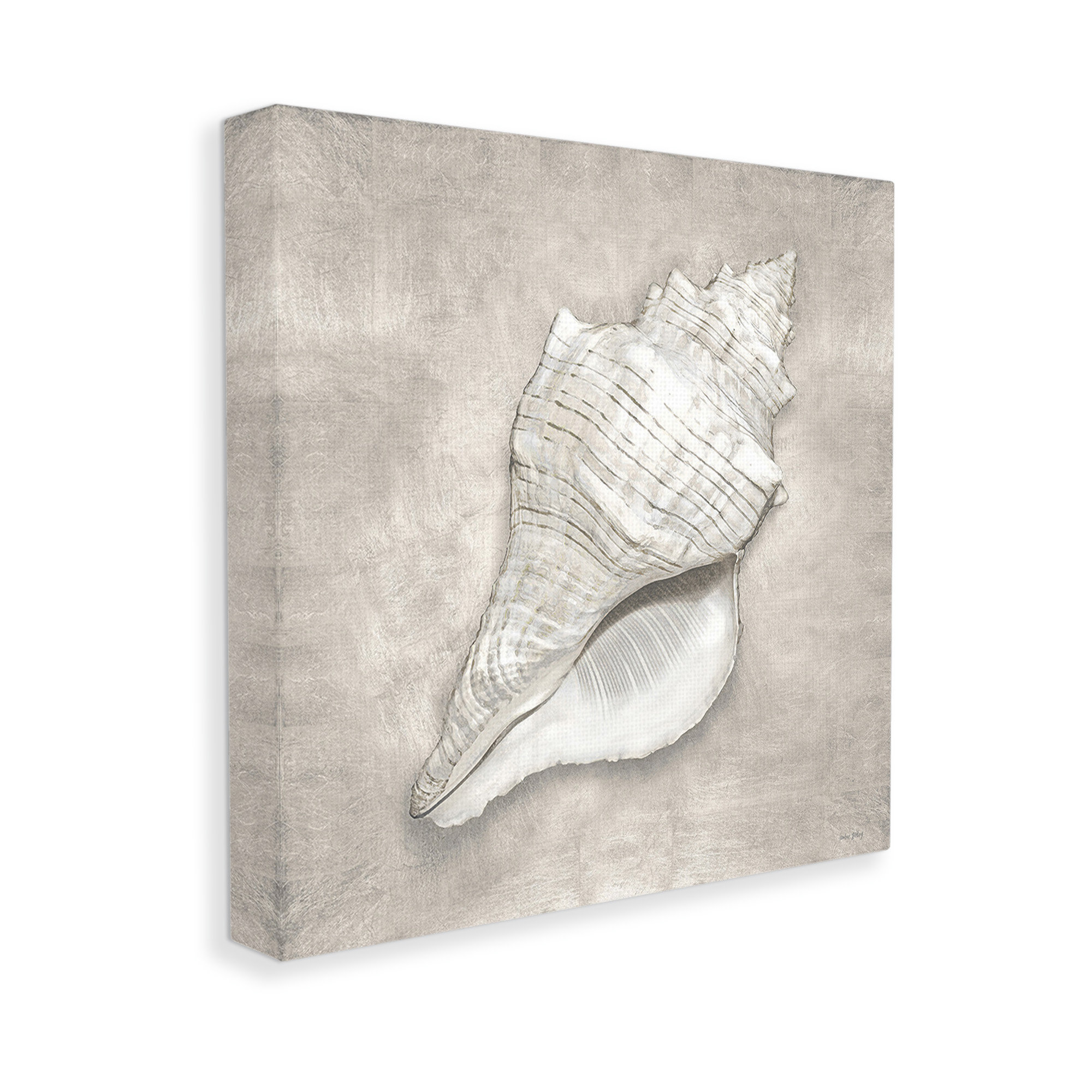 Highland Dunes Rustic Grey Conch Shell Canvas Wall Art by Amber ...