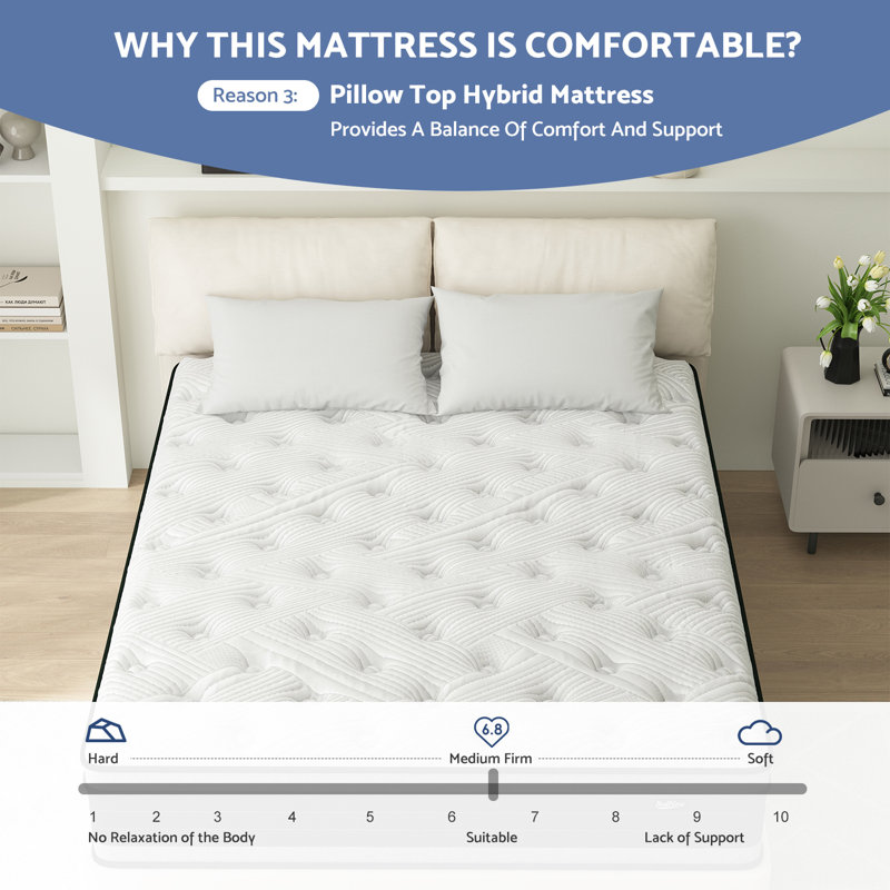 Alwyn Home Asellus 14'' Medium Firm Hybrid Pillow Top Mattresses In a ...