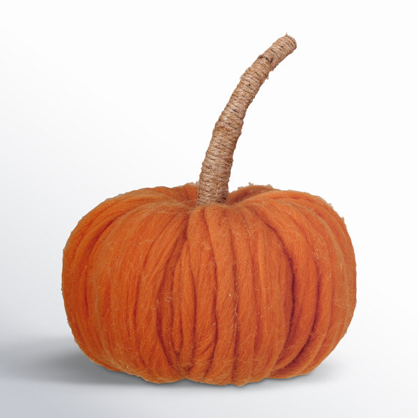 Wide Pumpkin With Wrapped Stem | Birch Lane