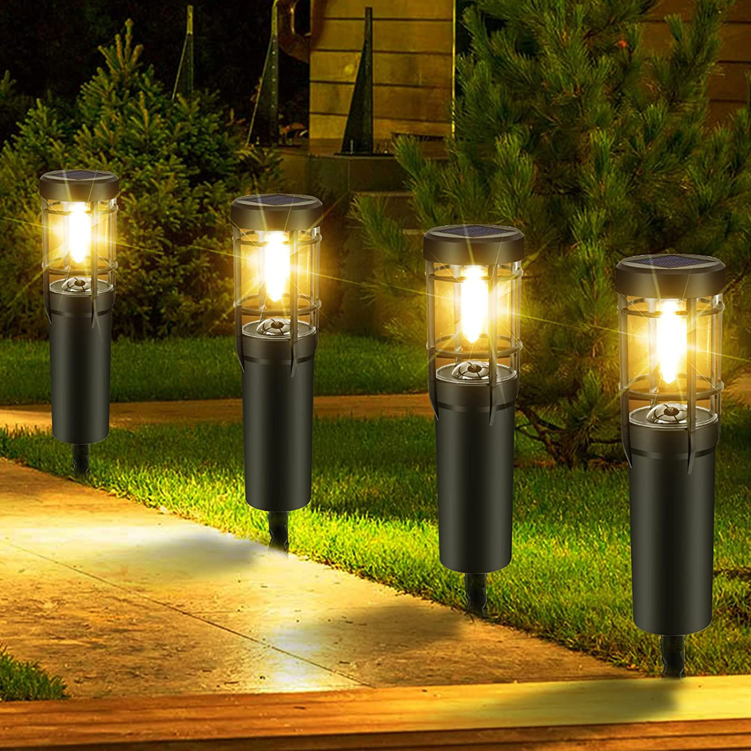 c&g home Muliticolor Solar Powered LED Pathway Light Pack | Wayfair