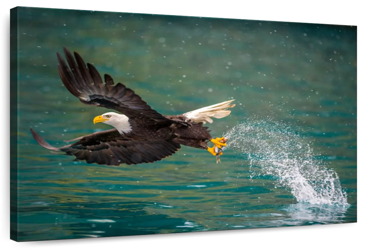 Ebern Designs Brampt Eagle Catching Prey | Wayfair