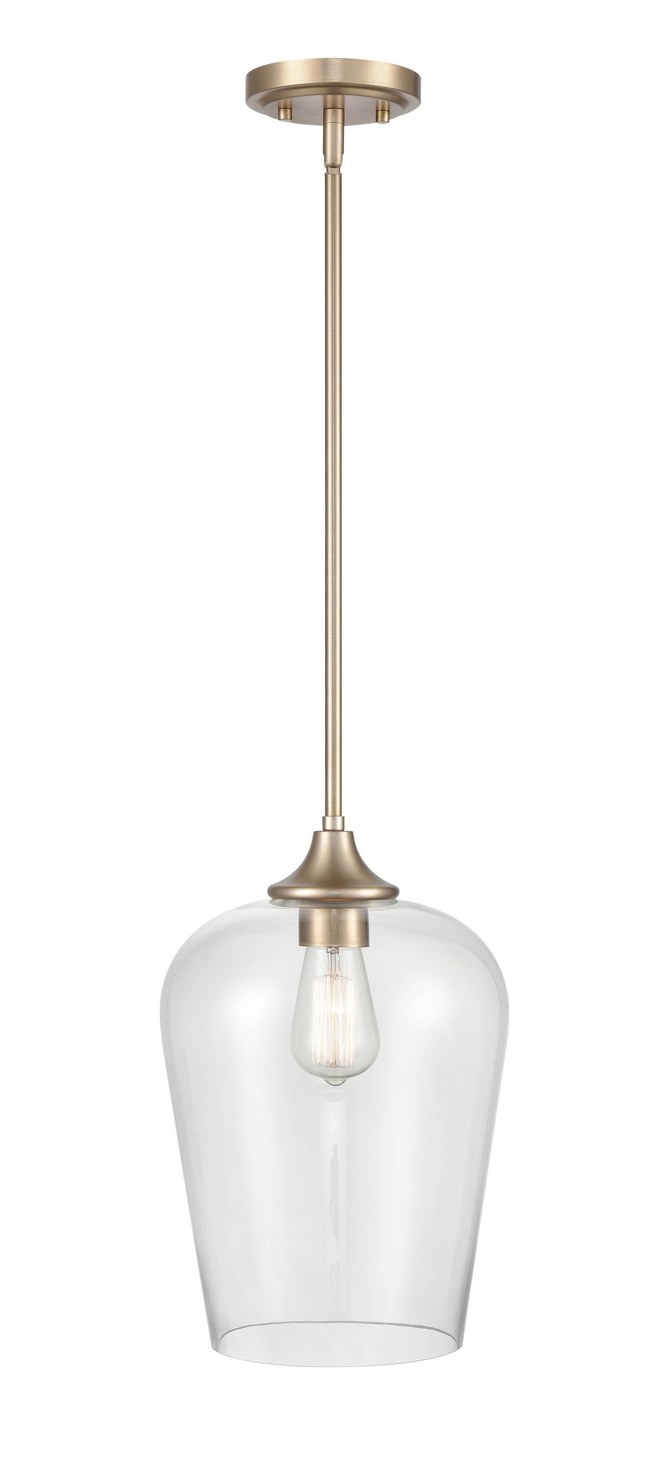 Everly Quinn Scarlett-Leigh 1 - Light Single Jar Pendant - Wayfair Canada