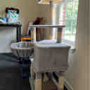 Tucker Murphy Pet™ 58" Bybee Cat Tree or Condo & Reviews | Wayfair