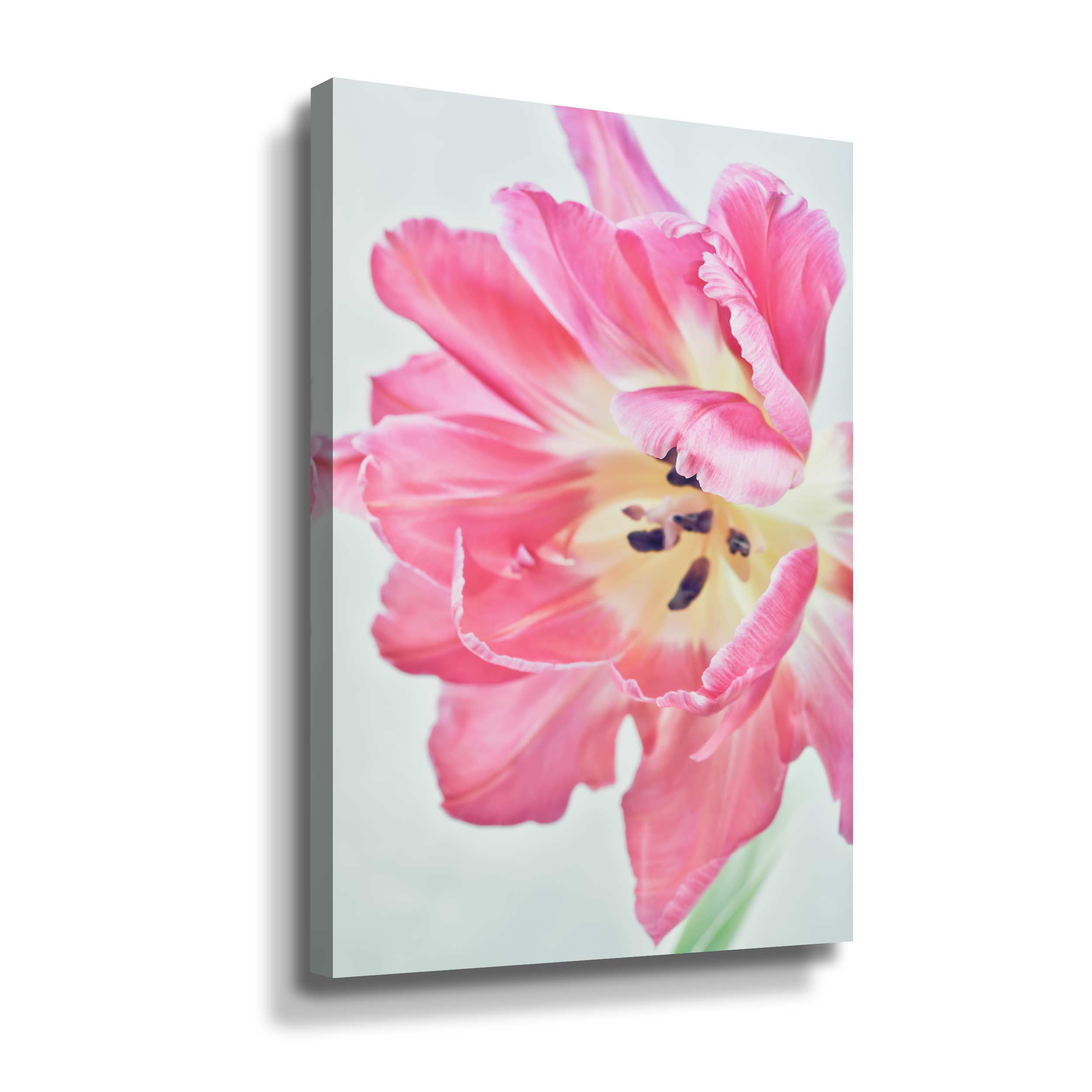 Latitude Run® Catchy Flower By Cora Niele Gallery - Wayfair Canada