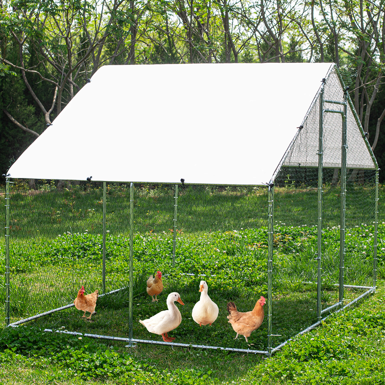 Tucker Murphy Pet™ Denne Walk In Chicken Run | Wayfair