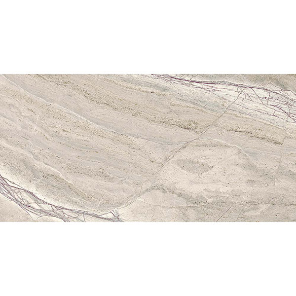 Apollo Tile Splendour 11.81'' W x 23.62'' L Porcelain Singular Tile ...