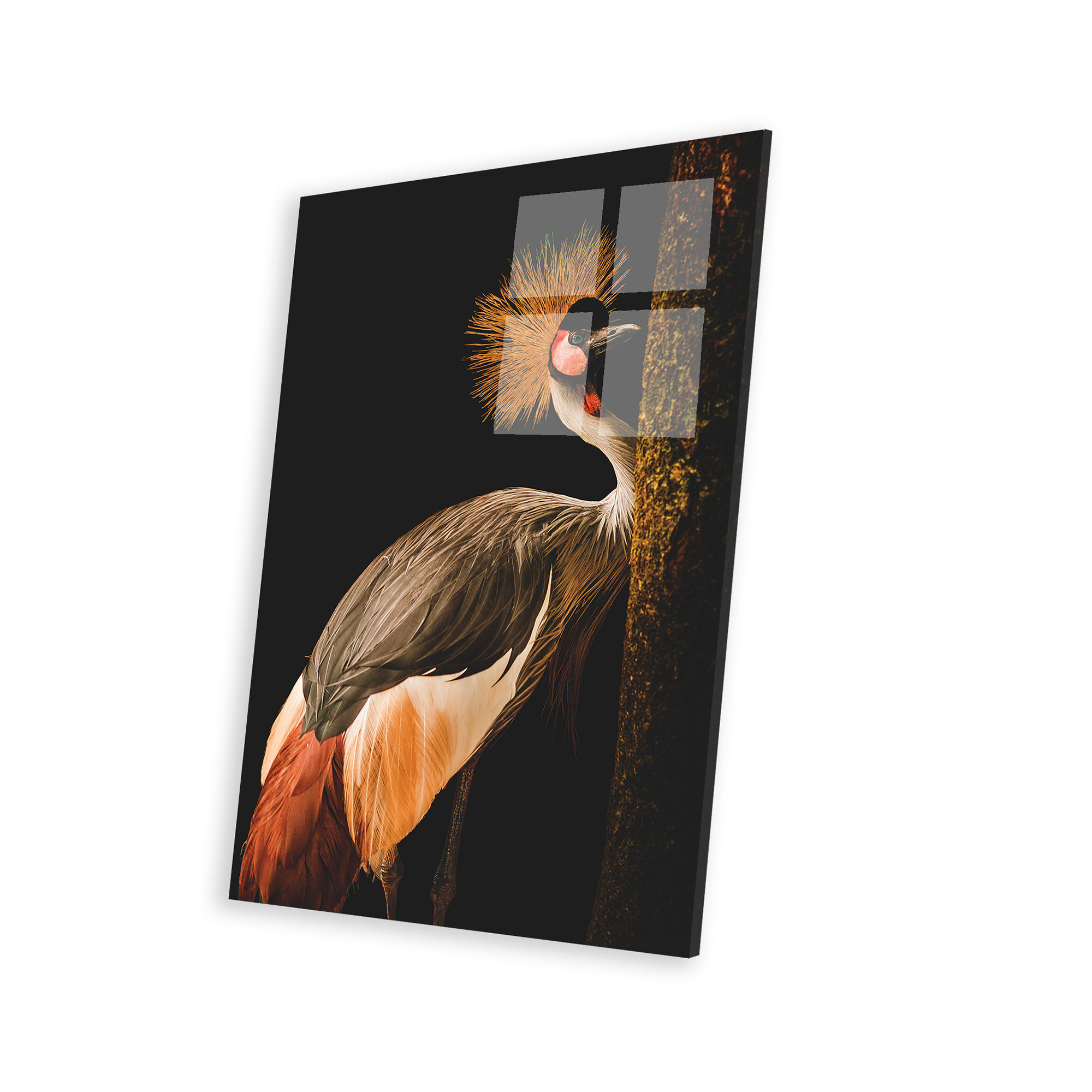 Red Barrel Studio Grey Crowned Crane Print On Acrylic Glass - Wayfair ...