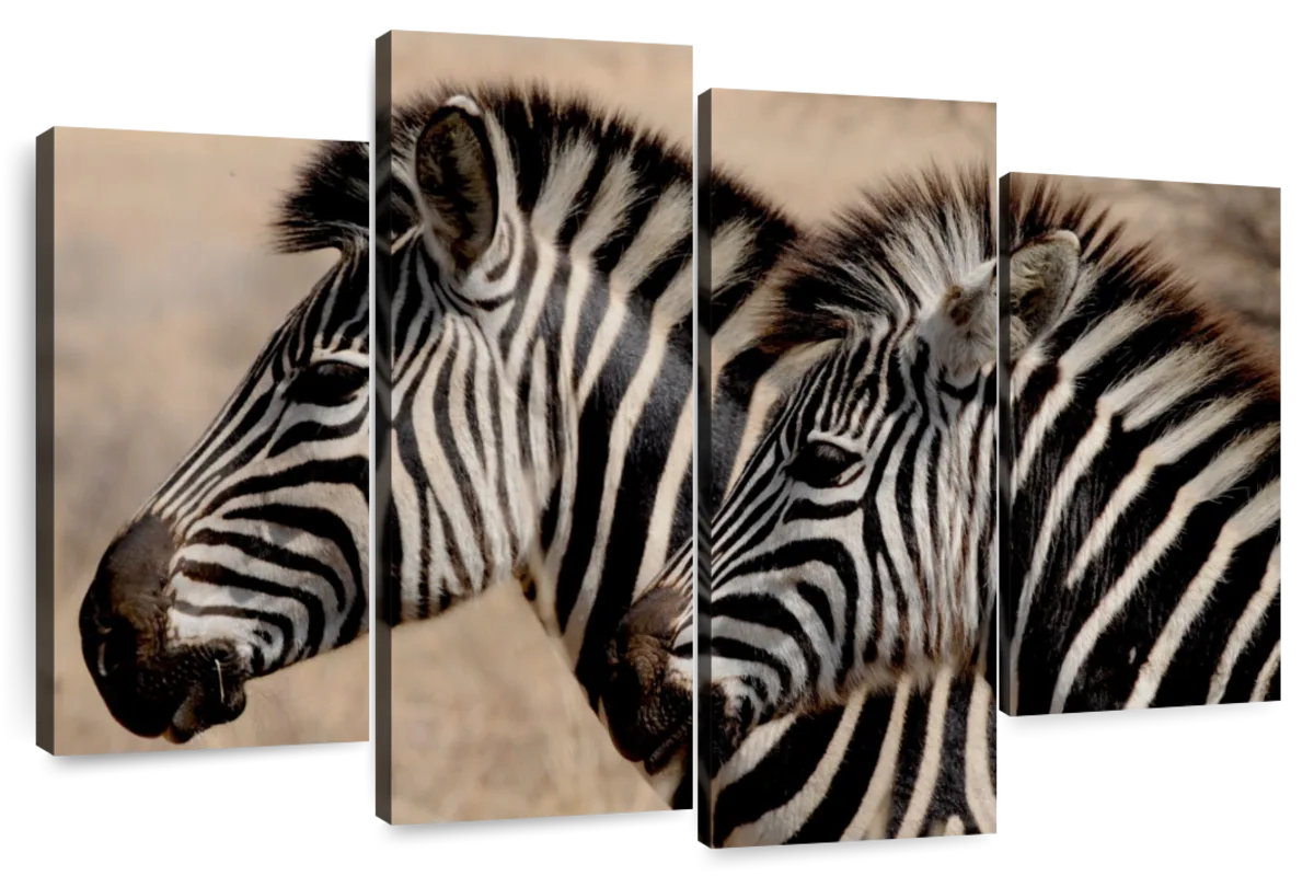 Ebern Designs Brampt Zebra Friends | Wayfair