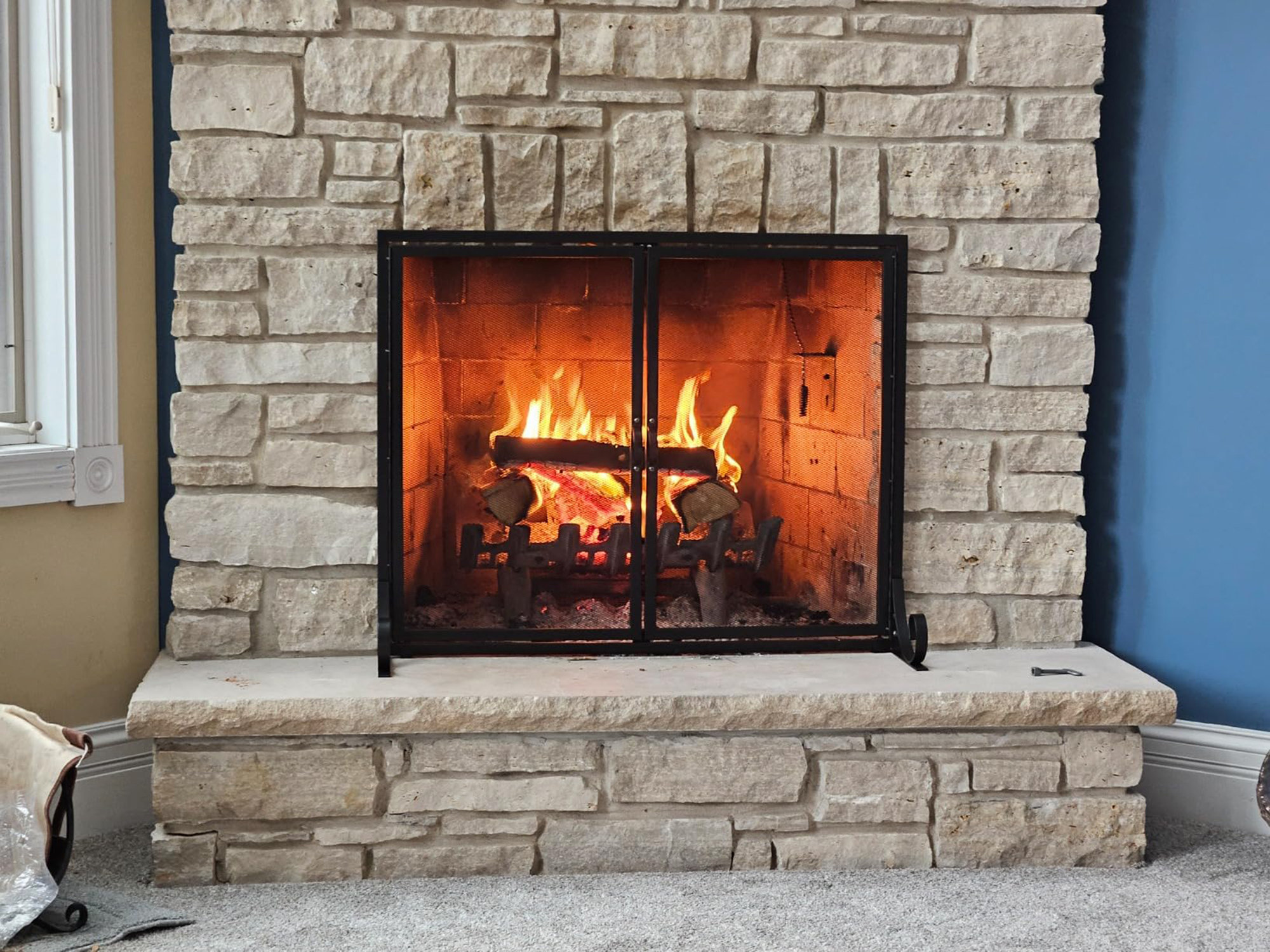 Artmeer Matte Black Fireplace Screen with Double Doors - Adjustable ...
