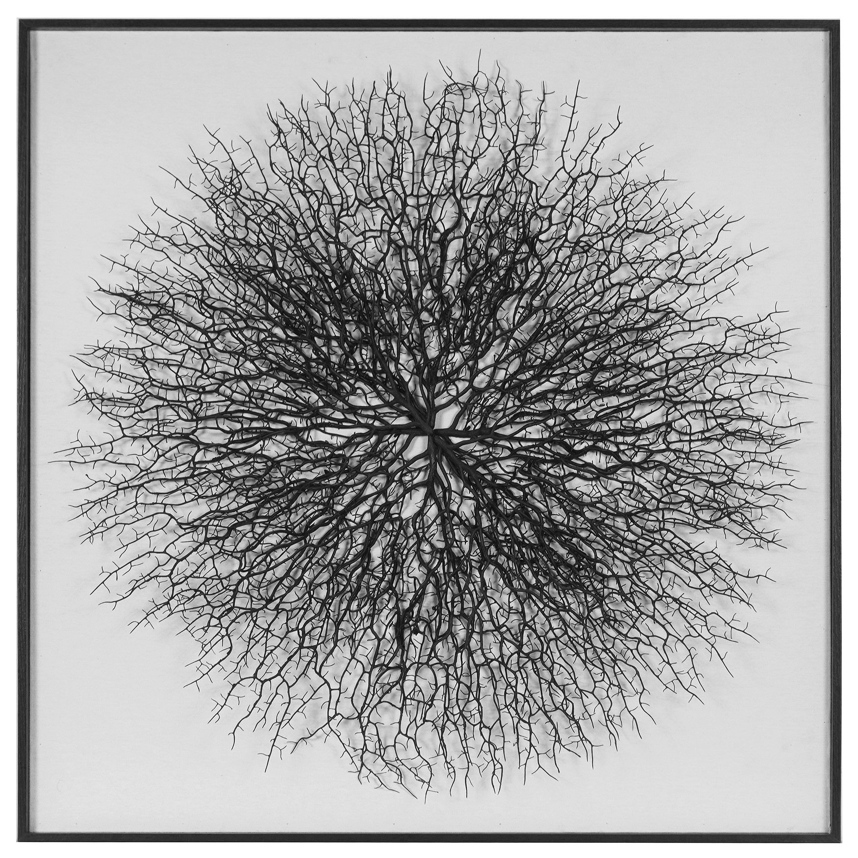 Dakota Fields Tree Roots Shadow Box Wall Décor | Wayfair