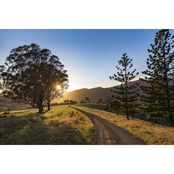 Union Rustic Sunny Country Road, Queensland by Matt Palmer - Wrapped ...