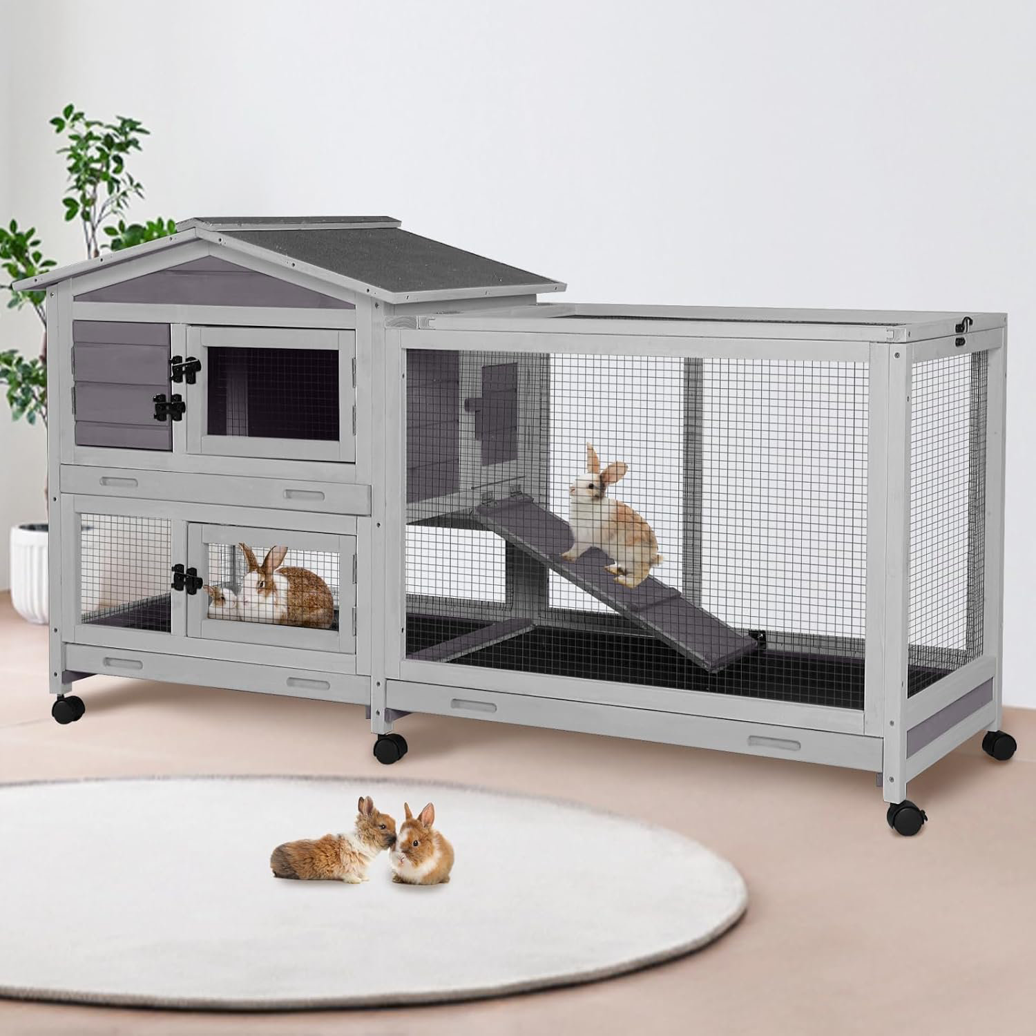 Tucker Murphy Pet™ 62" Rabbit Hutch with Chew-Proof Ramp & Waterproof ...