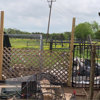 XCEL 60'' H x 48'' W Black Metal Gate & Reviews | Wayfair