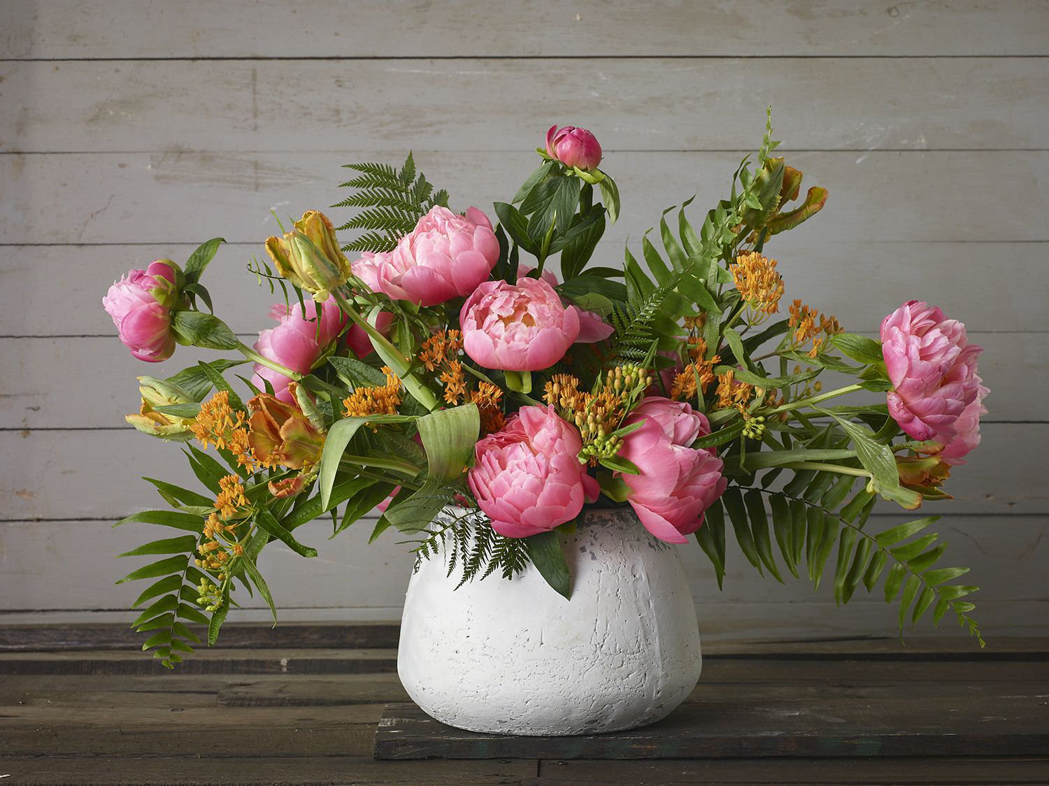 Williston Forge Gjelosh Ceramic Pot Planter | Wayfair