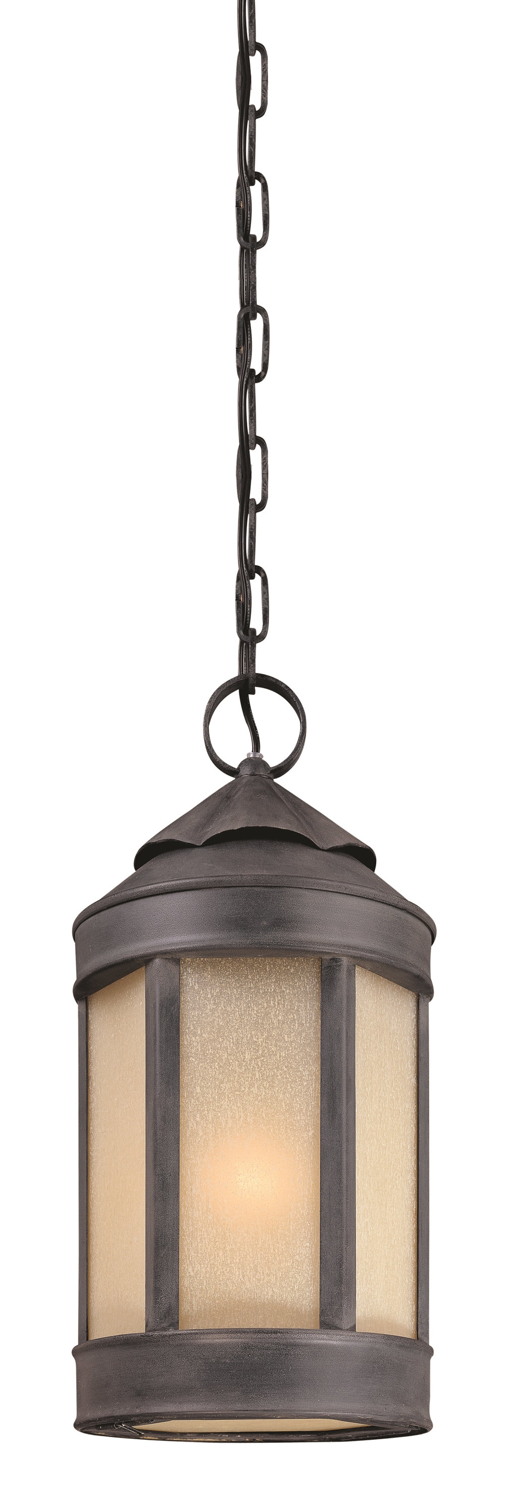 Darby Home Co Theodore Aged Iron 1 -Bulb Mains only Outdoor Hanging ...