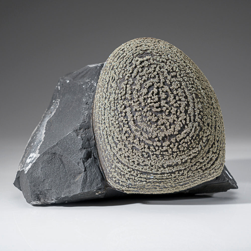 Astro Gallery of Gems Pyrite Concretion (Boji Stone) From Dongchuan ...