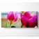Ebern Designs Pink Tulip Parade - Wrapped Canvas Print | Wayfair.co.uk