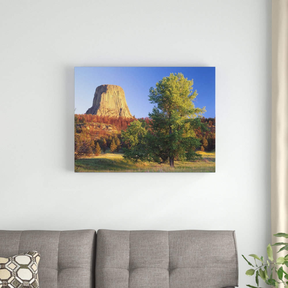 East Urban Home 'Devil's Tower National Monument Showing Famous Basalt ...