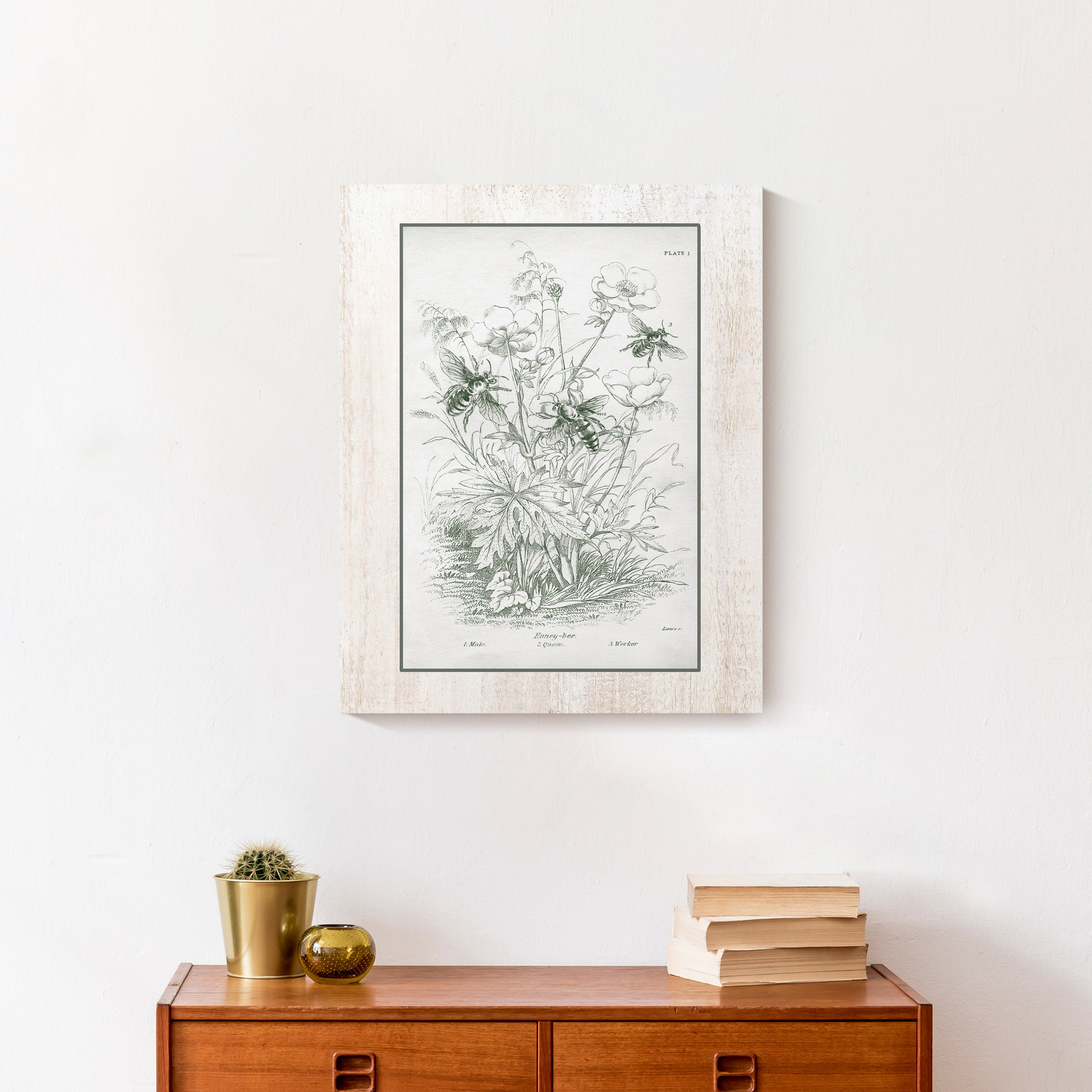 Red Barrel Studio® " Honey Bees Vintage Diagram " Painting Print | Wayfair