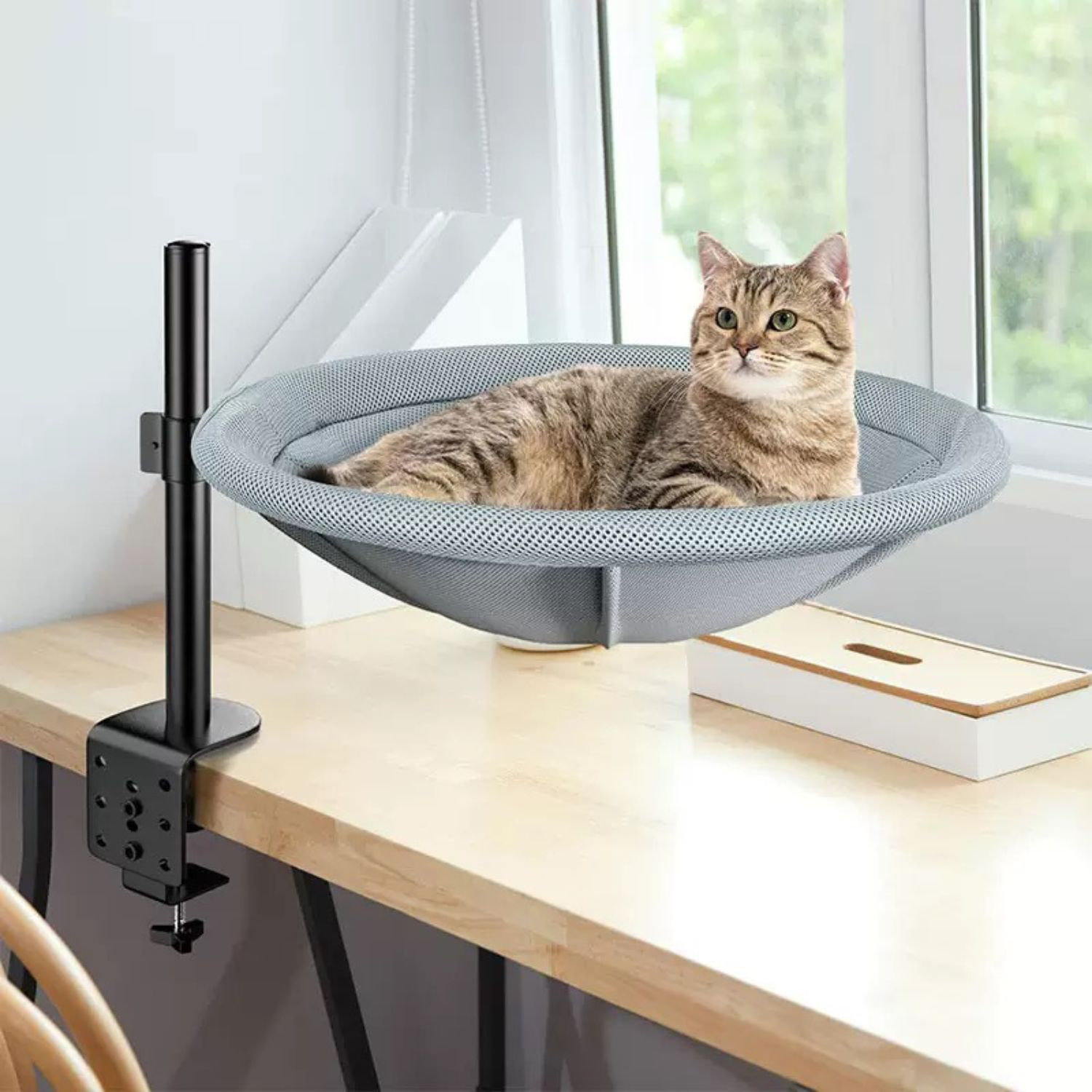 Tucker Murphy Pet™ Cat Desk Cat Nest Bed 360° Rotating Height ...