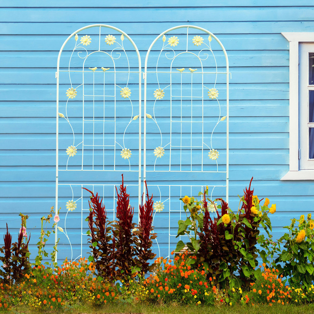 Ophelia & Co. 4 Pack Metal Garden Trellis Rustproof Trellis | Wayfair