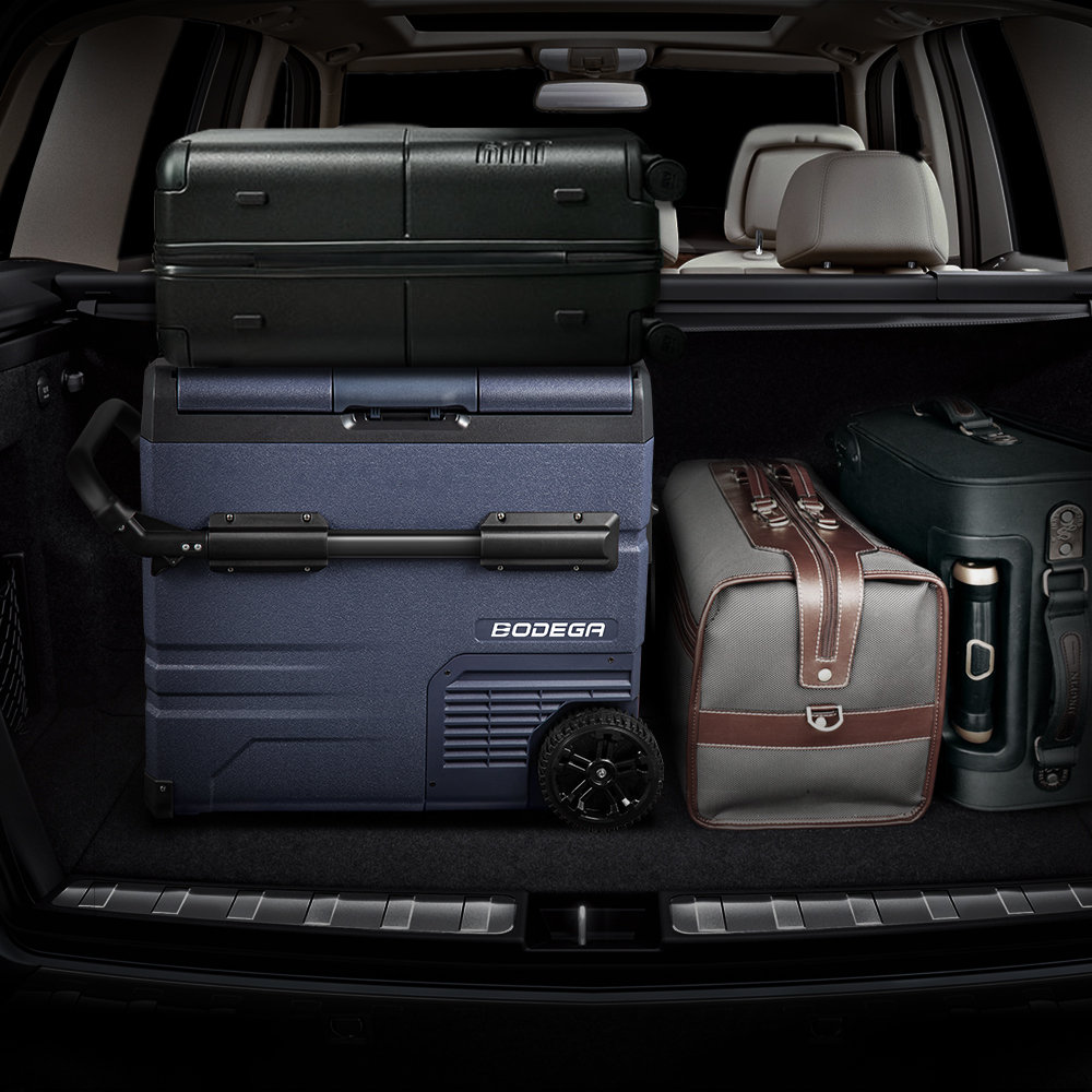 BODEGA 59 Qt. Cooler - Wayfair Canada