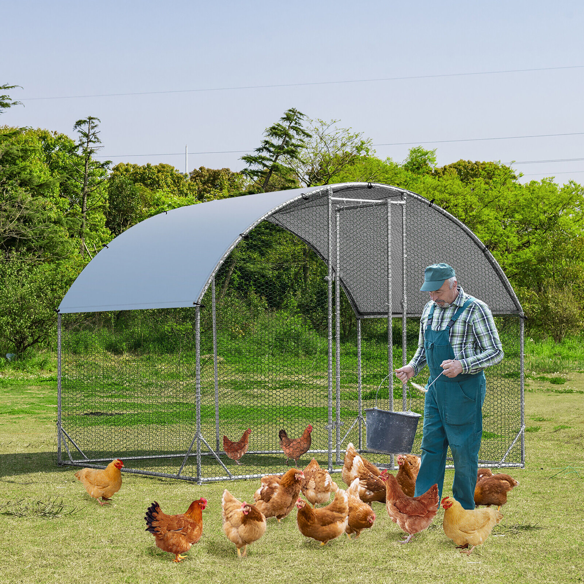 Tucker Murphy Pet™ Deliza 57ft² Walk in Chicken Run with Wire Mesh ...