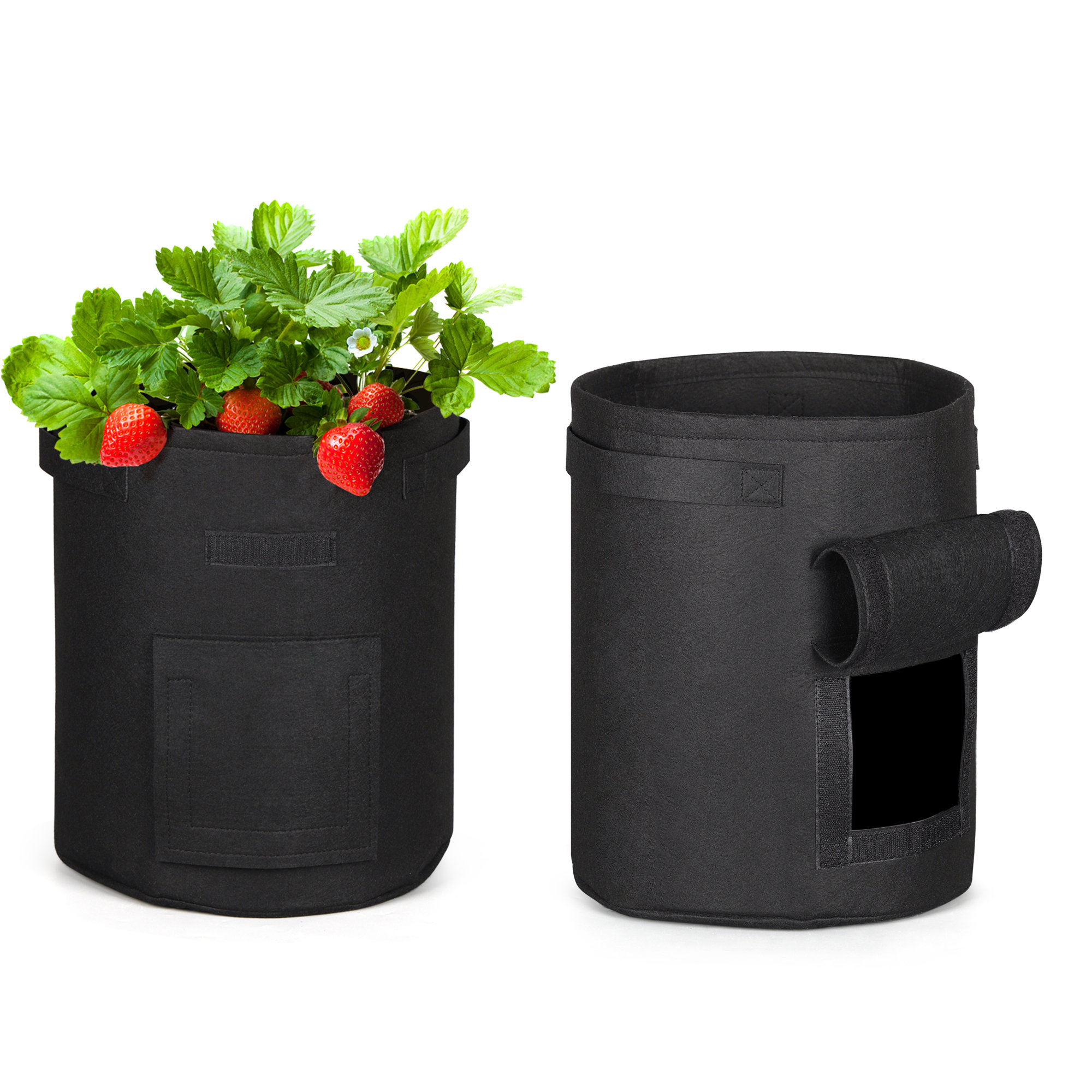 CELLPAK 7 Gallon Smart Potato Grow Bags - Wayfair Canada