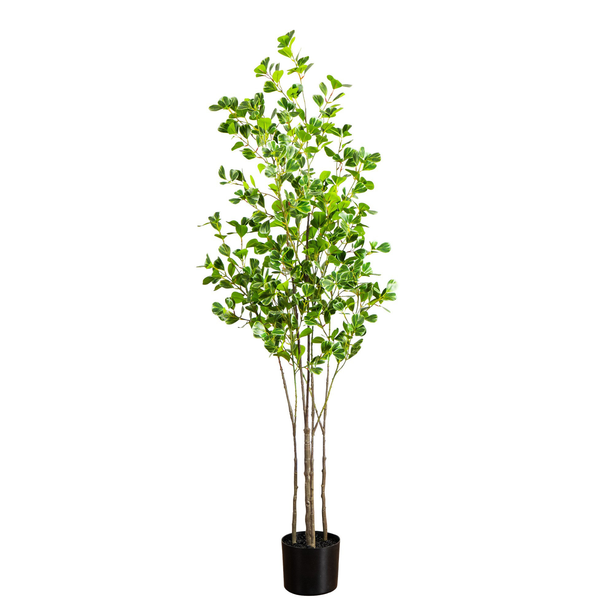 Latitude Run® 5Ft. Artificial Heart Shaped Ficus Leaf Tree | Wayfair