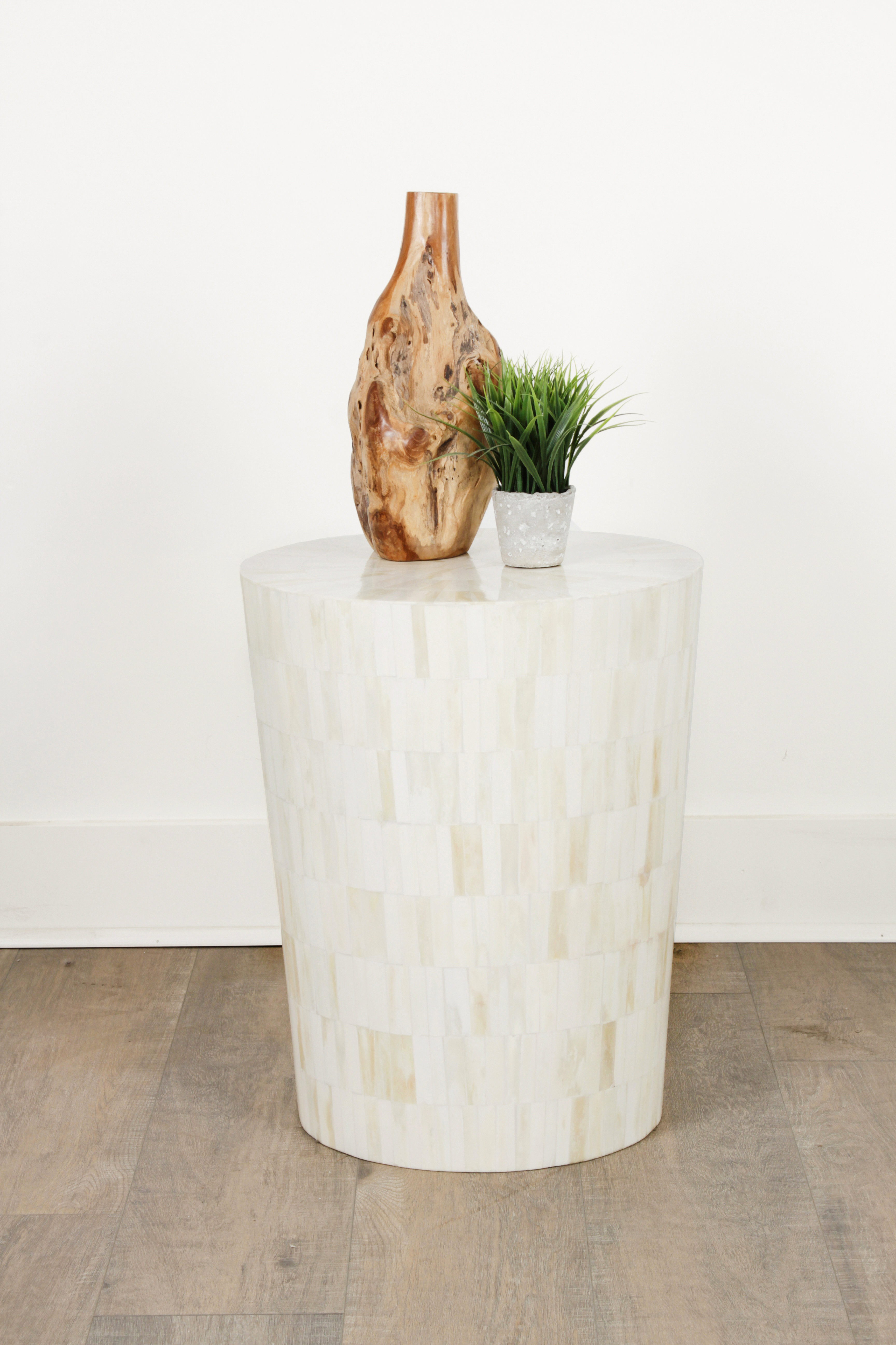 Birch Lane™ Ceri Bone End Table & Reviews - Wayfair Canada