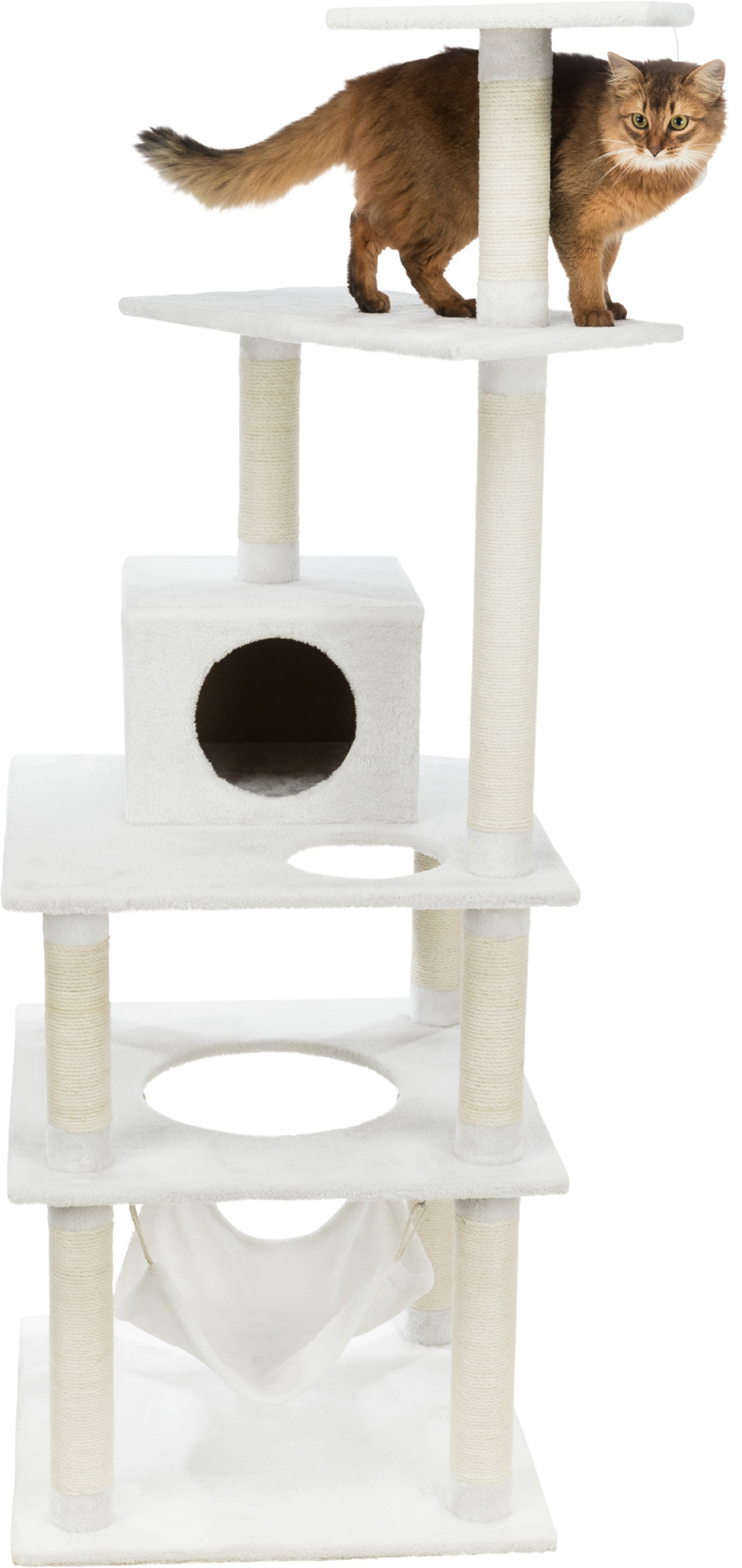 TRIXIE 63.5 H TRIXIE Abby Cat Tree - Wayfair Canada